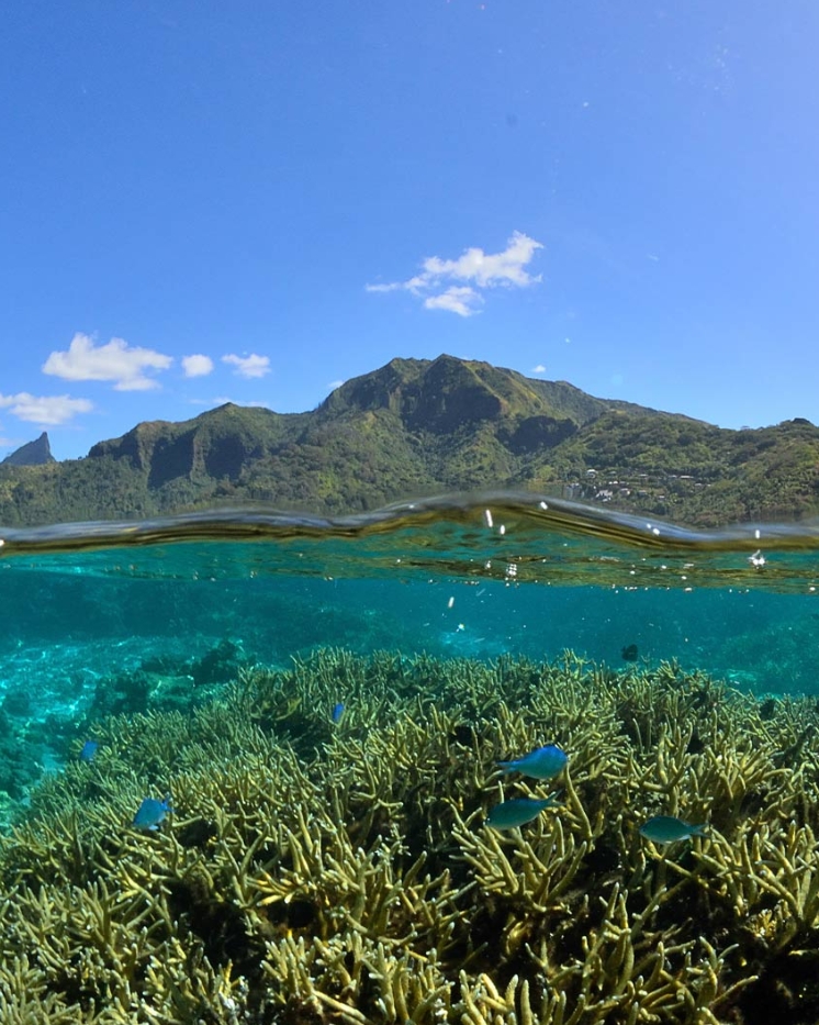 Fransk Polynesien - Voya Travel